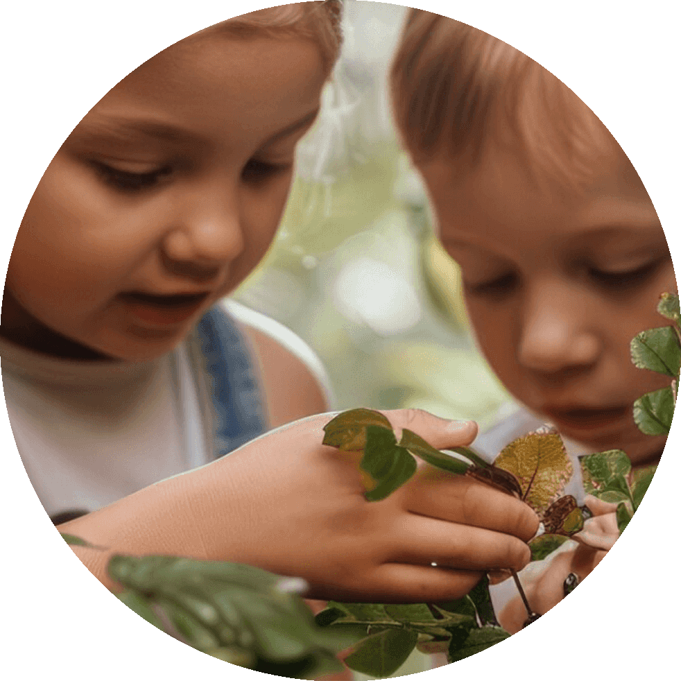 Home - Early Ivy Education